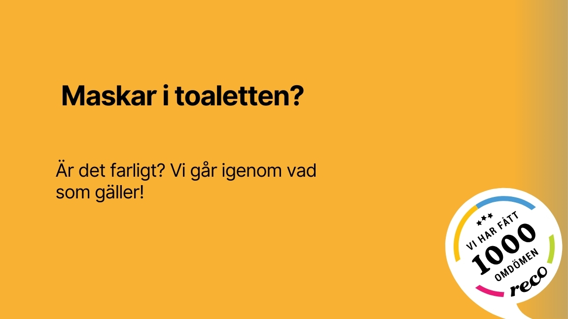 Maskar i toaletten? Orsaker, lösningar & förebyggande åtgärder